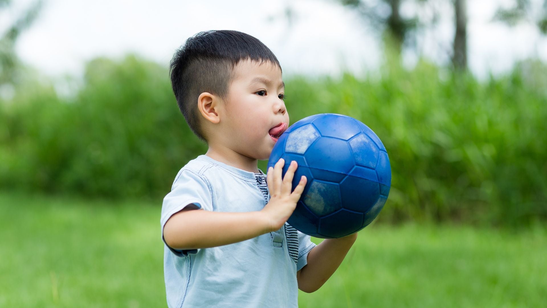 Ortho K Lenses for Adults & Children In Singapore | OK Lens - Eyecare ...